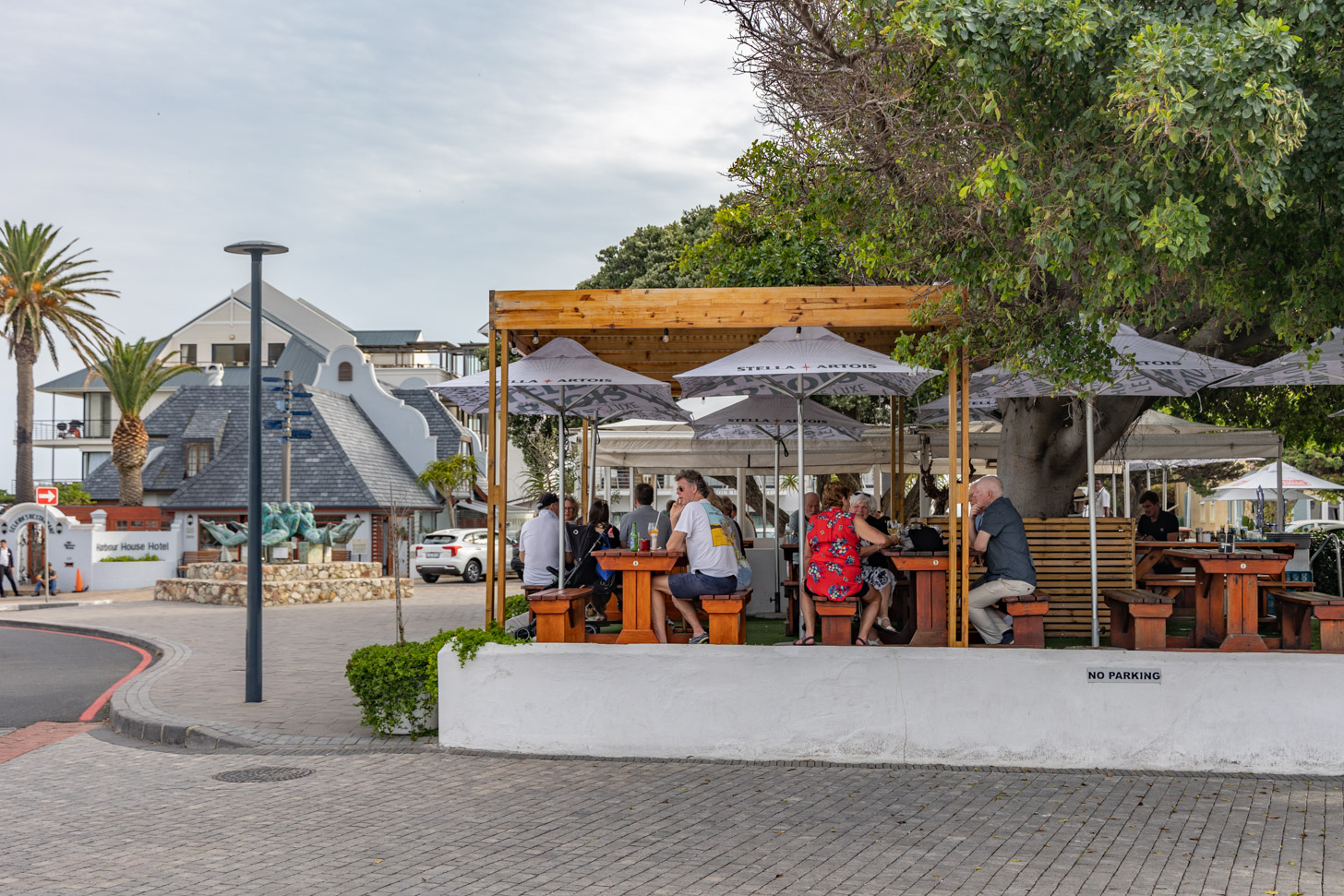 5 dingen die je moet weten over walvissen spotten bij Hermanus