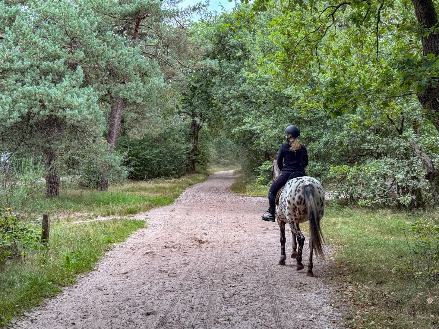 5 dingen die je moet weten over de Loonse en Drunense Duinen